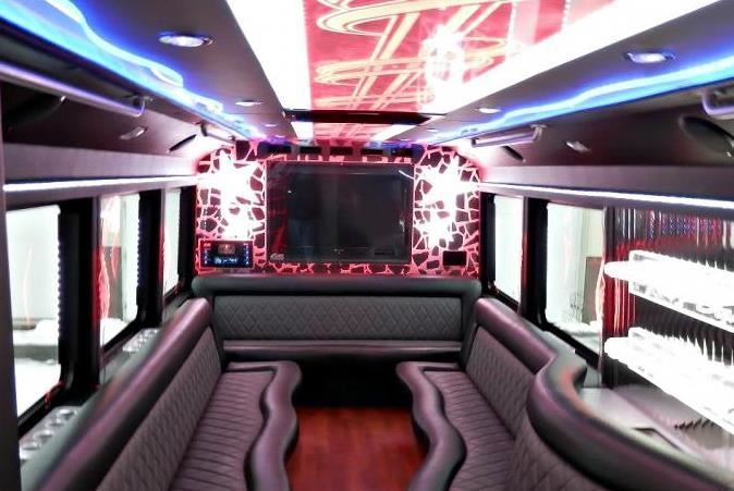 #1 for Birthday Party Bus Rentals - Best Party Buses